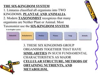 Modern Phylogenetic Taxonomy Notes | PPT