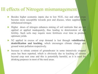 Modern approaches of nitrogen management in rice.pptx