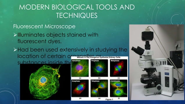 Modern Biological Tools and Techniques | PPTX | Biological Sciences ...