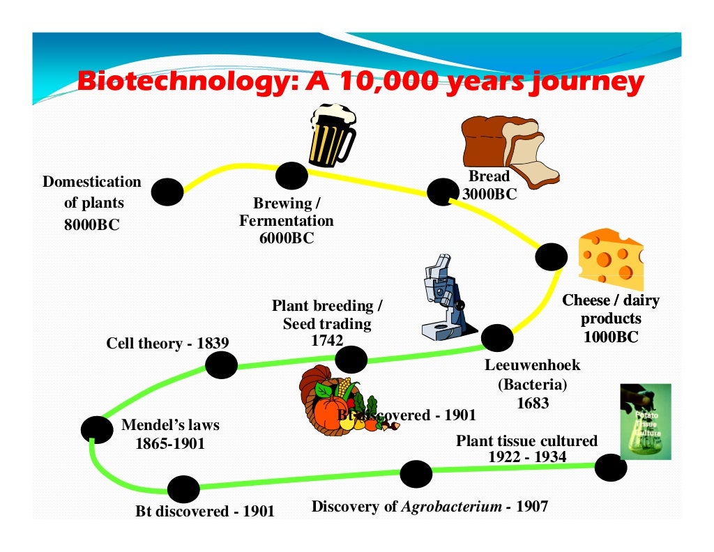 Modern biotechnology and biosafety issues