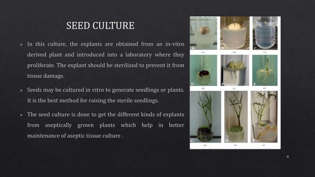 MODERN BREEDING METHODS (GENETICS).pptx.. | PPTX