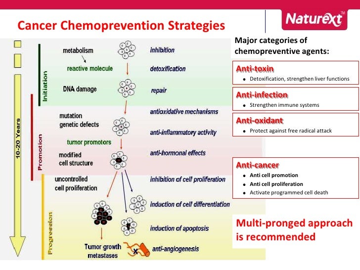 Modern cancer prevention approach
