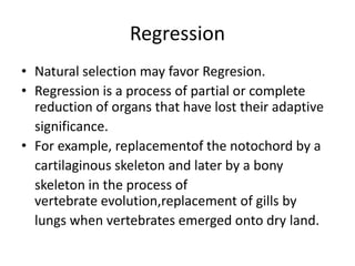 Modern concept of natural selection2 | PPTX
