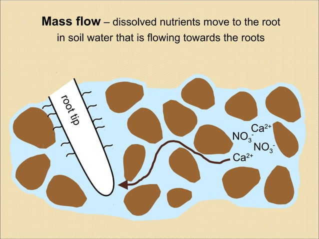 Modern concepts of soil fertility | PPT