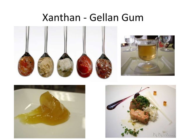 MODERN COOKING TECHNIQUES PRESENTATION - Kitchen Theory | Immersive Dining