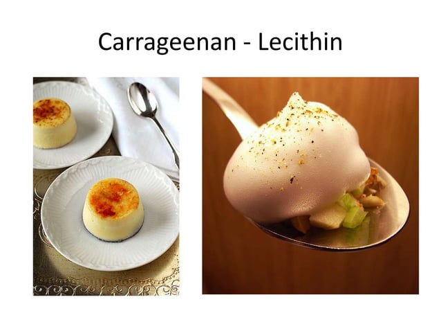 MODERN COOKING TECHNIQUES PRESENTATION - Kitchen Theory | Immersive Dining