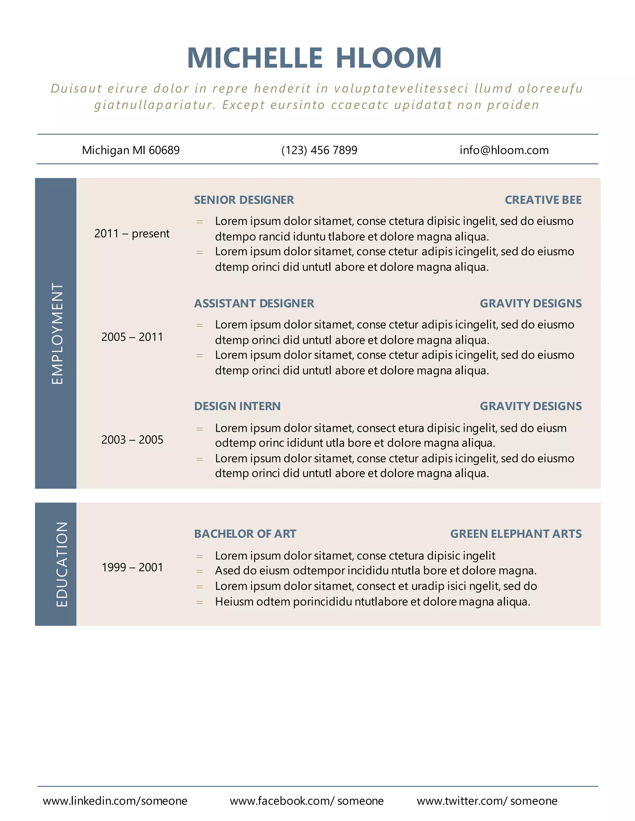 Modern CV template 05 | PDF