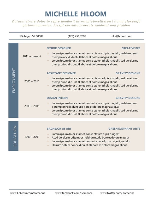 Modern CV template 05 | PDF