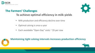 Modern dairy management using scr technologies | PPT