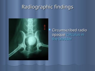 Modern Diagnostic Technique used in Veterinary Practice.ppt
