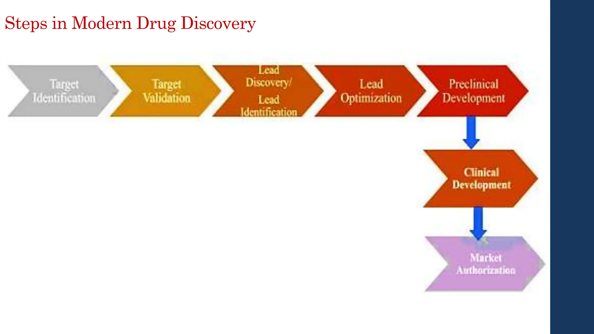 Modern drug discovery process|| M pharm Pharmacology.pptx