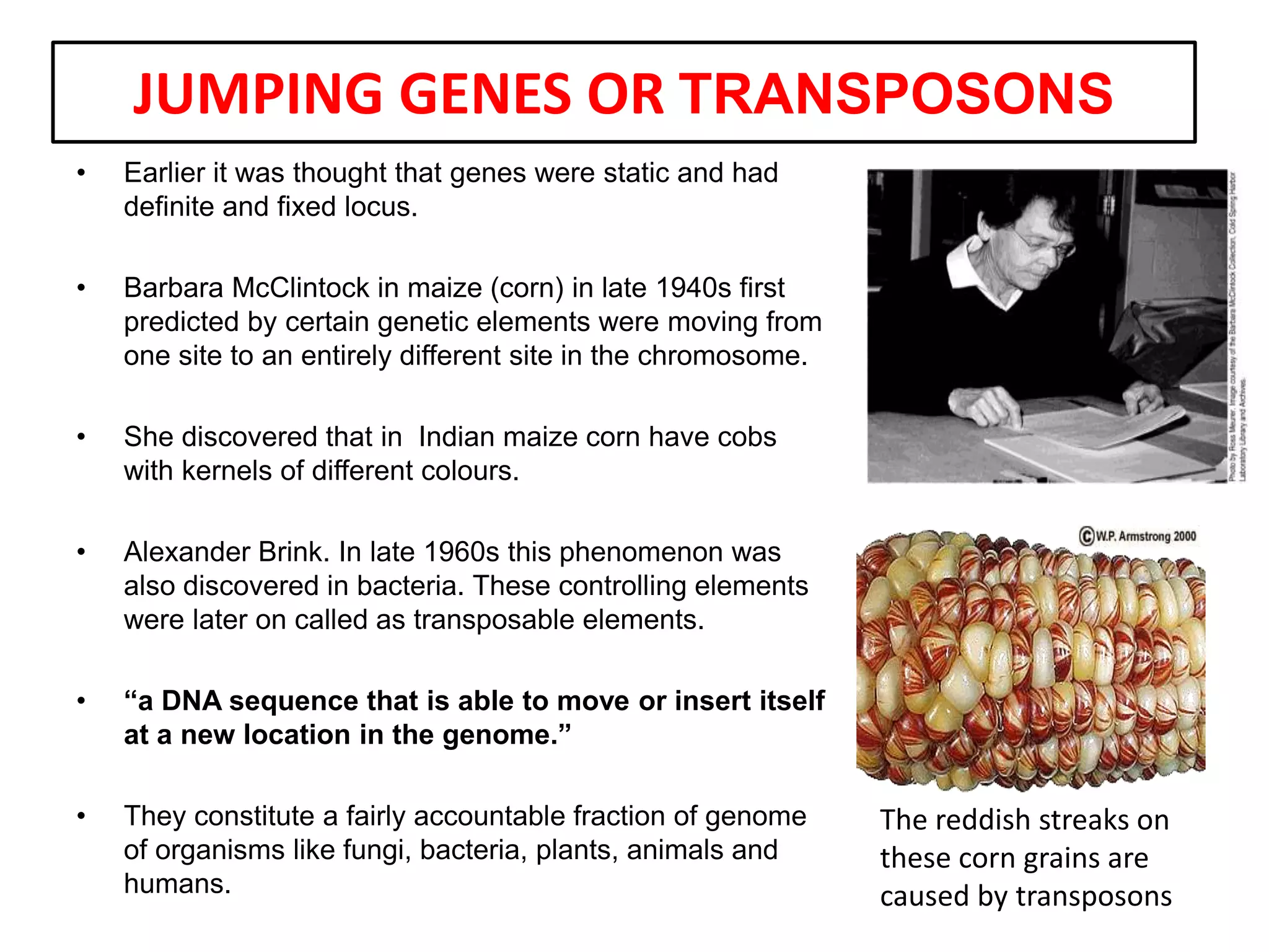 Modern gene concept | PPTX