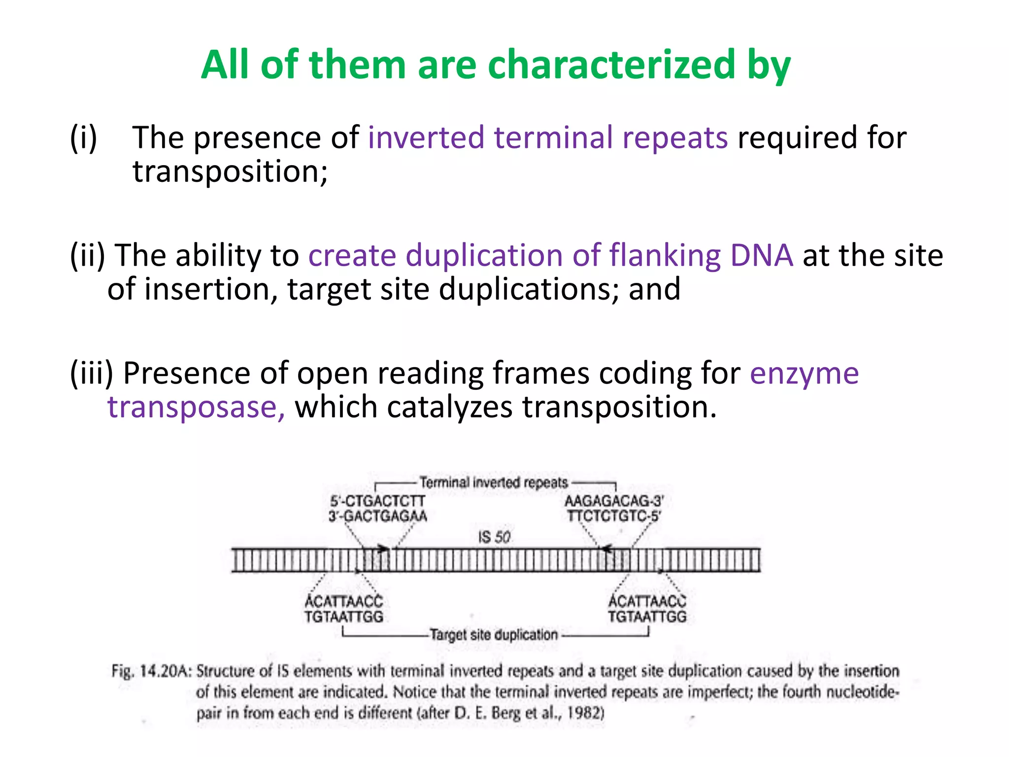Modern gene concept | PPTX