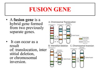 Modern gene concept | PPTX