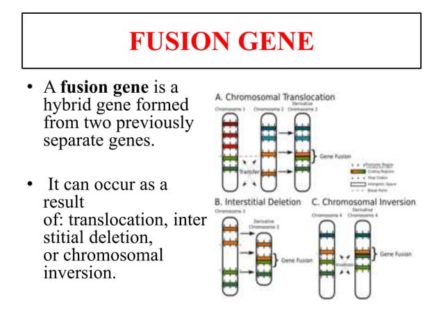 Modern gene concept | PPTX | Chemistry | Science