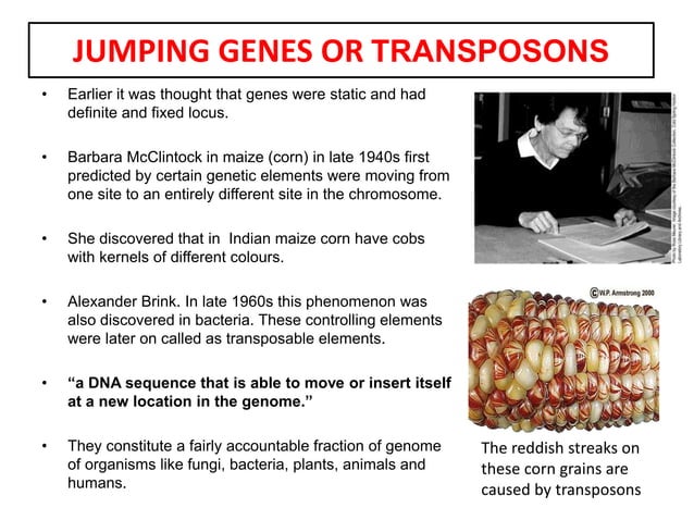Modern gene concept | PPTX | Chemistry | Science