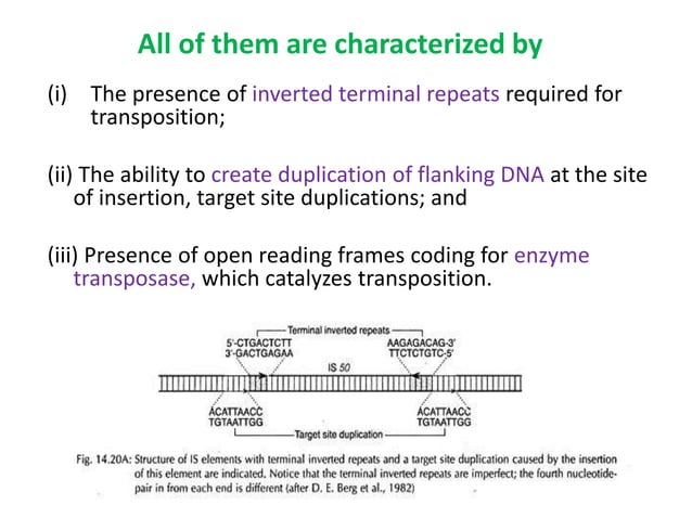 Modern gene concept | PPTX | Chemistry | Science