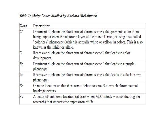 Modern gene concept | PPTX | Chemistry | Science