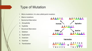 Modern genetics | PPTX