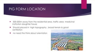 Veterinary modern_housing_of_pigs[1].pptx