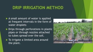 Modern irrigation methods | PPTX