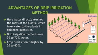 Modern irrigation methods | PPTX
