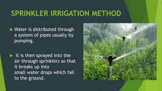 Modern irrigation methods | PPTX