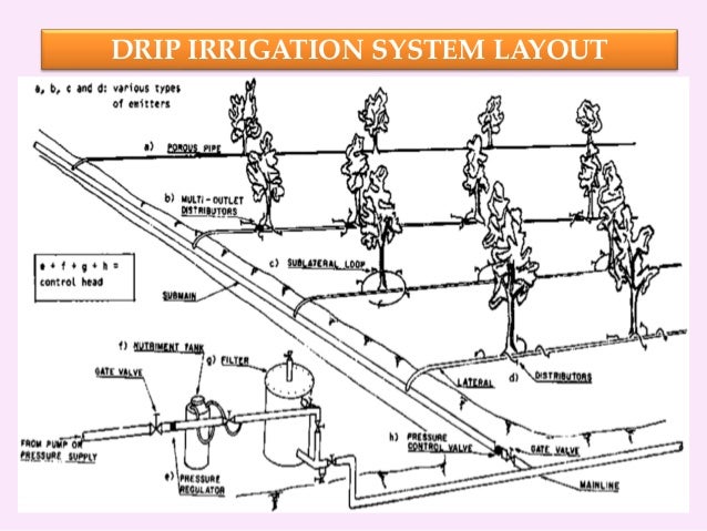 Irrigation Diversion Structures