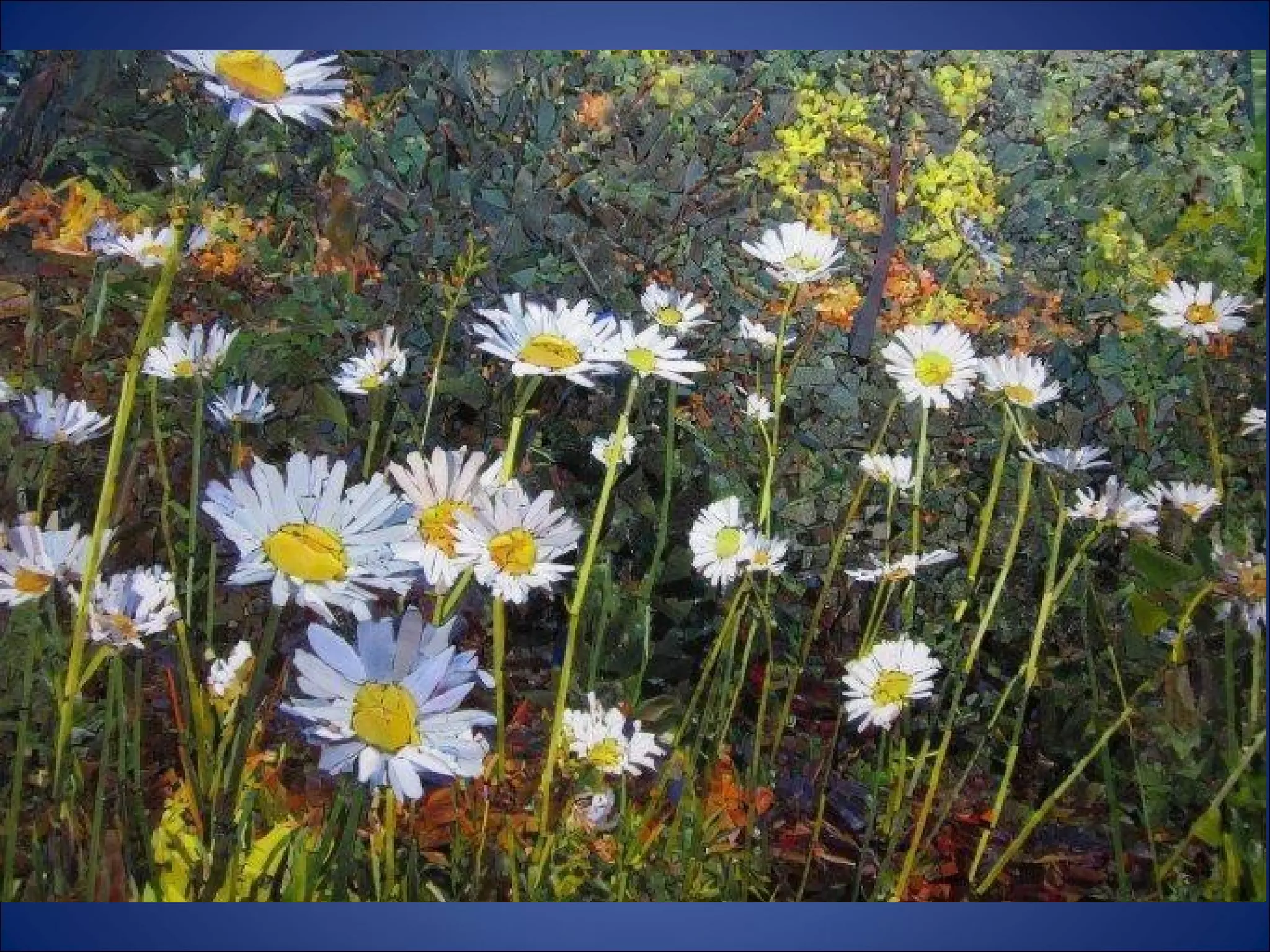 Modern mosaic presentation | PPT
