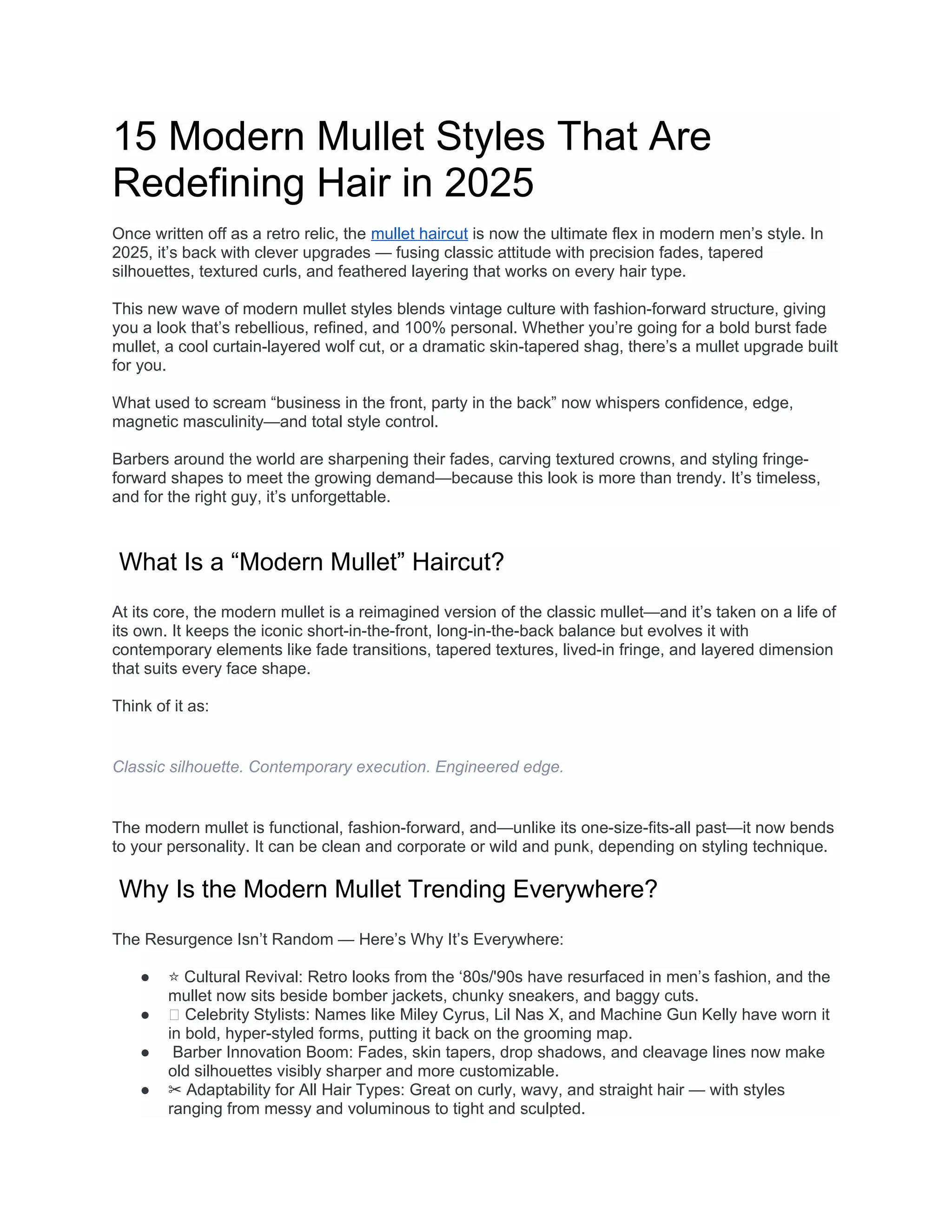 Trending Modern Mullet For Men Hairstyles.docx