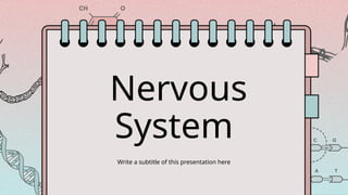 Modern Notes Physiology of Nervous System Slides.pptx