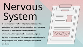 Modern Notes Physiology of Nervous System Slides.pptx