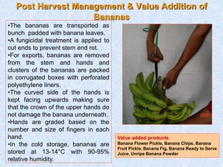 Modern packaging techniques with special reference to banana | PPT