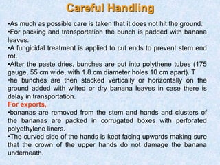 Modern packaging techniques with special reference to banana | PPT