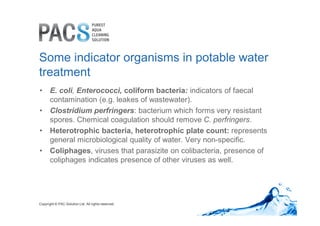Modern potable water disinfection | PDF