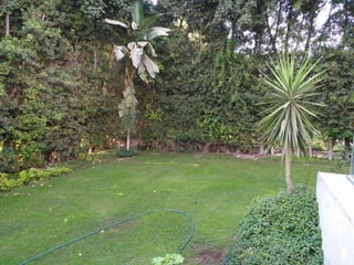 Modern style villa for rent in tara sheikh zayed city egypt | PPT