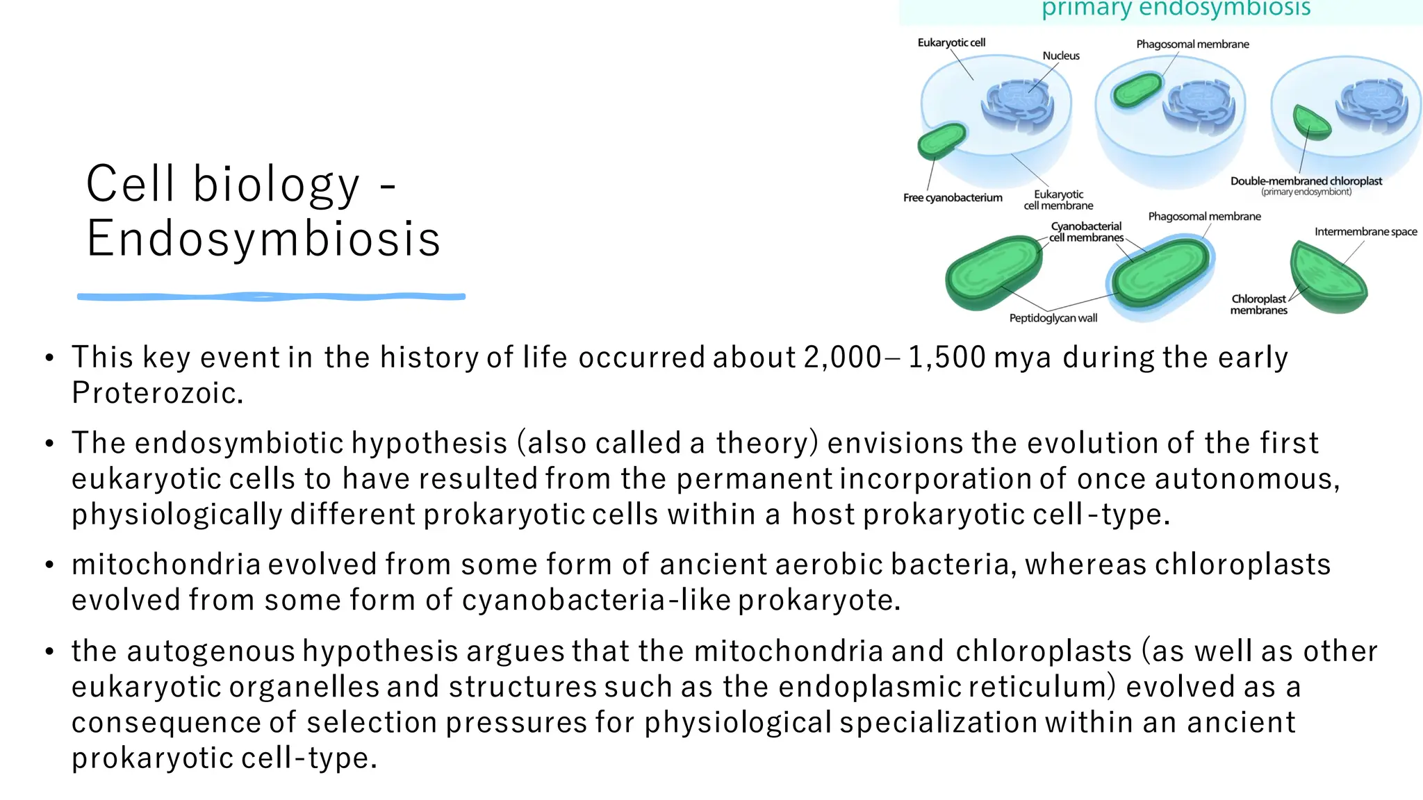 modern synthertic theory of evolution(1).pdf