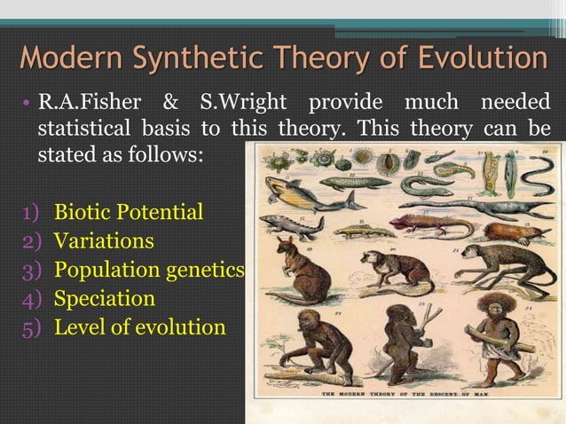 Modern synthetic theory of organic evolution shared by abdul qahar ...