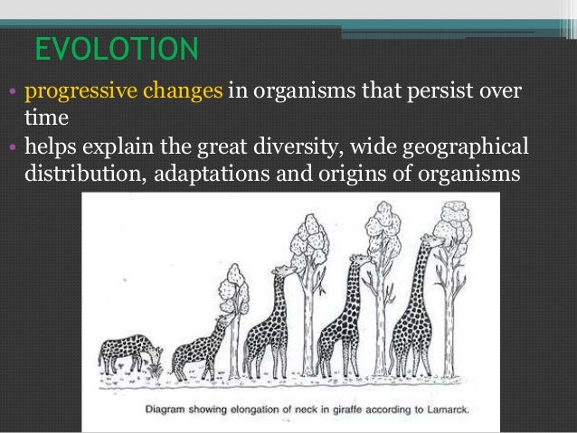 Modern synthetic theory of organic evolution shared by abdul qahar bu…