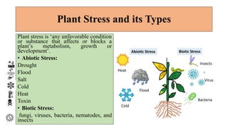 Modern techniques for stress management in fruit crops.pptx