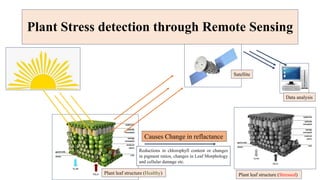 Modern techniques for stress management in fruit crops.pptx