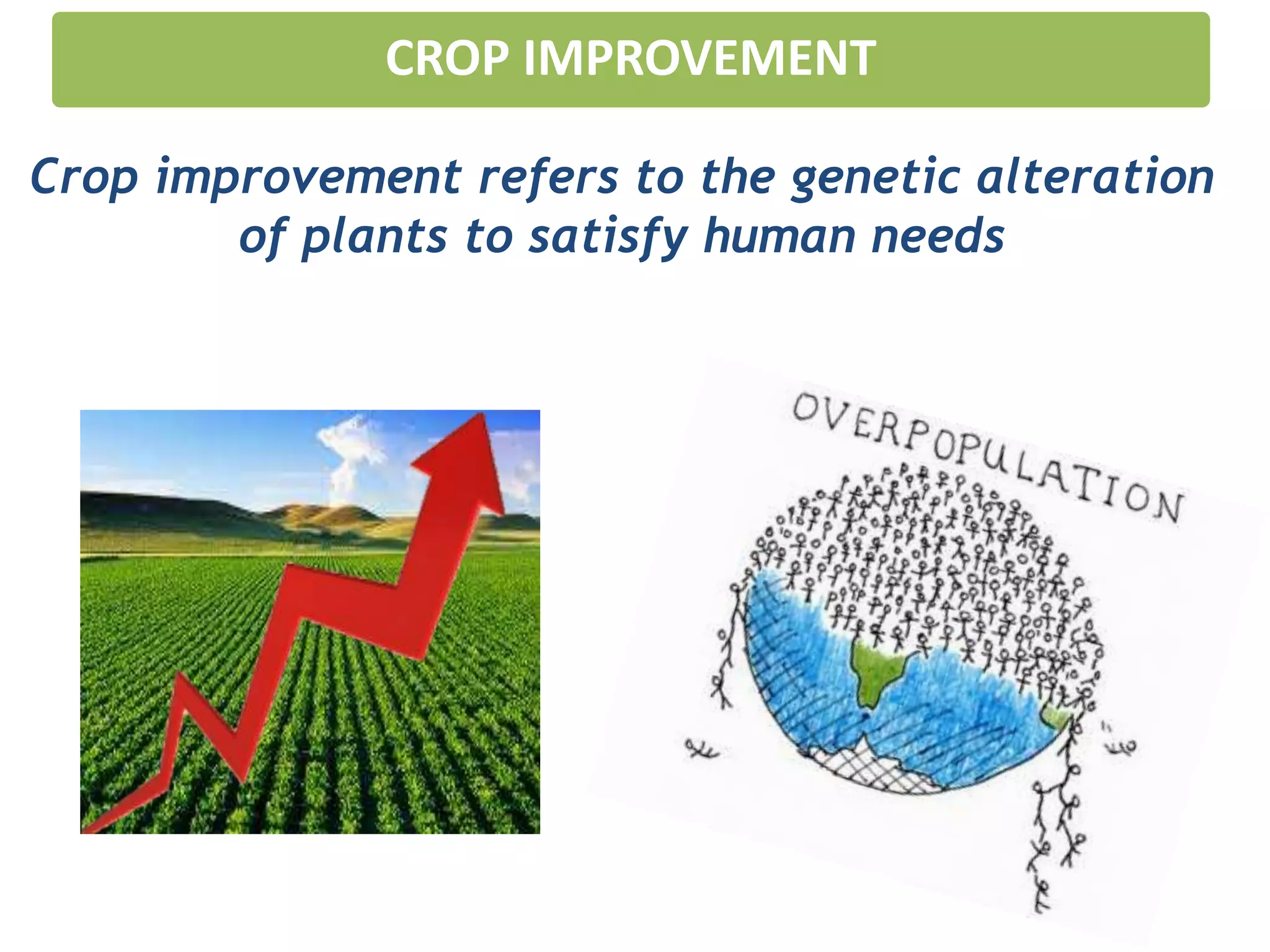 Modern techniques of crop improvement.pptx final | PPTX