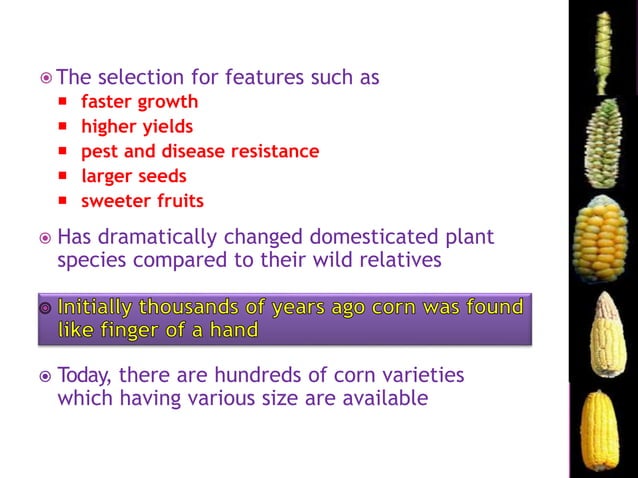 Modern techniques of crop improvement.pptx final | PPTX