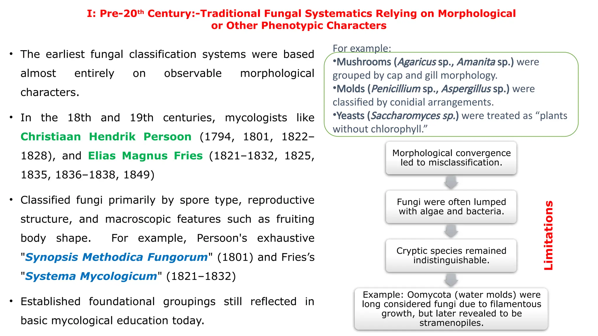 Modern Trends In Fungal Classification, Phylogeny.pptx