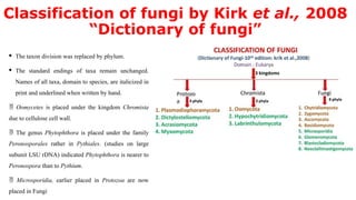 Modern Trends In Fungal Classification, Phylogeny.pptx
