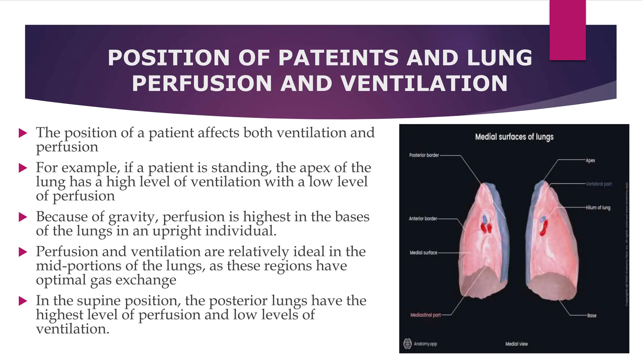 Modern Ventilator Management.pptx