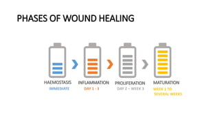 Modern wound care course | PPTX