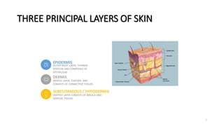 Modern wound care course | PPT