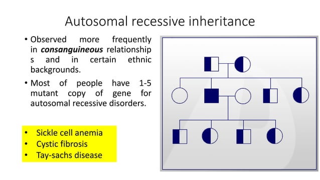 Modes Of Autosomal And Sex Linked Inheritance Ppt