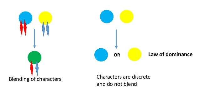 Modes Of Autosomal And Sex Linked Inheritance 
